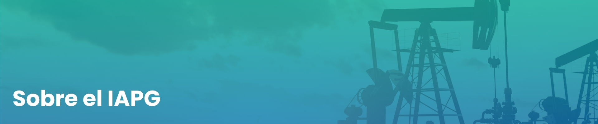 Sobre el IAPG